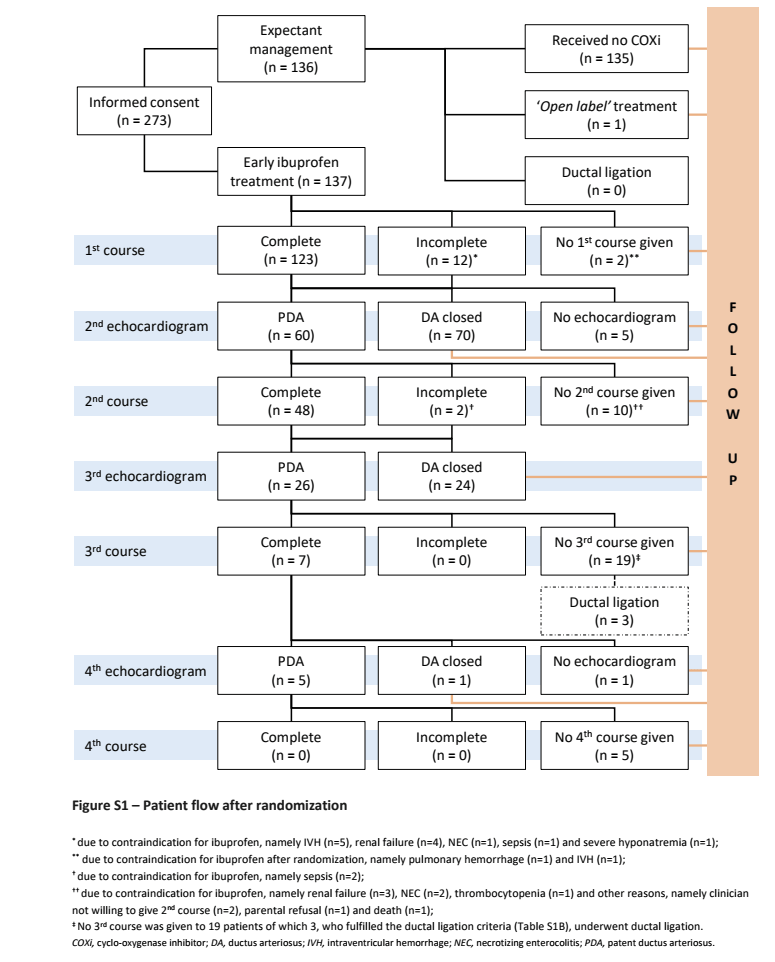 The PDA, will we ever know what to do? | Neonatal Research