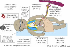 Neonatal Research | Following important research in neonatology ...